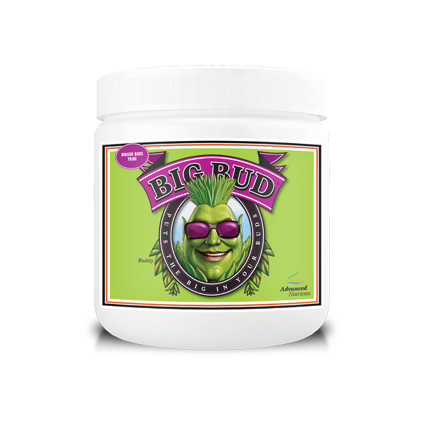 AN Big Bud Powder 10kg
